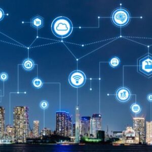 Stelo Technology | Secure Your Software's Future